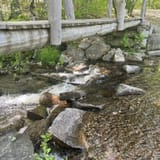 Leach Pond Trail, Massachusetts - 2,705 Reviews, Map | AllTrails