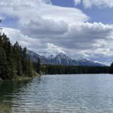 Johnson Lake, Alberta, Canada - 1,790 Reviews, Map | AllTrails