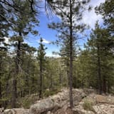 Independence Mountain Trail, Colorado - 5,108 Reviews, Map | AllTrails