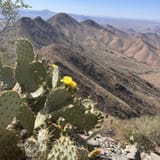 Thompson Peak via Dixie Mine Trail, Arizona - 888 Reviews, Map | AllTrails