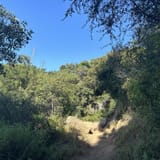 Inspiration Point, California - 3,743 Reviews, Map | AllTrails