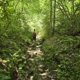 The Boogerman Trail [CLOSED], North Carolina - 530 Reviews, Map | AllTrails