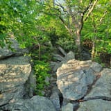 Wolf Rocks via Appalachian Trail, Pennsylvania - 896 Reviews, Map ...