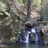 Cataract Falls Trail, California - 3,878 Reviews, Map | AllTrails