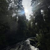 Lunch Falls Trail, Alaska - 87 Reviews, Map | AllTrails