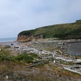 Kehoe Beach Trail, California - 337 Reviews, Map | AllTrails