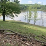 White Bison Loop, Missouri - 2,433 Reviews, Map | AllTrails