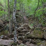 Gorge Path Trail, Maine - 817 Reviews, Map | AllTrails