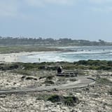 Asilomar State Beach and Coast Trail, California - 913 Reviews, Map ...