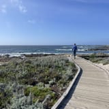 Asilomar State Beach and Coast Trail, California - 913 Reviews, Map ...