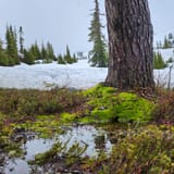 Heather Meadows and Artists Point Trail, Washington - 988 Reviews, Map ...