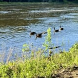 Pike Island Loop, Minnesota - 2,360 Reviews, Map | AllTrails