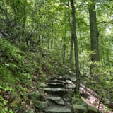 Old Rag Mountain Loop, Virginia - 13,011 Reviews, Map | AllTrails