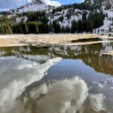 Silver Lake Loop Trail, Utah - 1,528 Reviews, Map | AllTrails