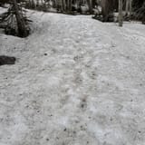 Silver Lake Loop Trail, Utah - 1,520 Reviews, Map | AllTrails