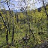 Gem Lake Trail and Lumpy Ridge Loop, Colorado - 2,018 Reviews, Map ...