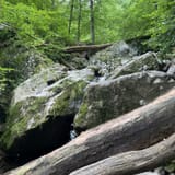 Cascade Falls Loop Trail, Maryland - 2,799 Reviews, Map | AllTrails