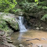Cascade Falls Loop Trail, Maryland - 2,799 Reviews, Map | AllTrails