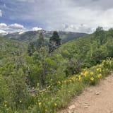Big Rock Via Elephant Rock Trail, Utah - 2,541 Reviews, Map | AllTrails