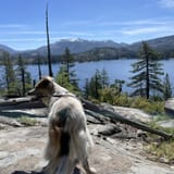 Spaulding Lake Trail, California - 1,390 Reviews, Map | AllTrails