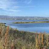 Bay Farm Island Loop Trail, California - 1,183 Reviews, Map | AllTrails