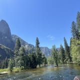 Sentinel Meadow Cook's Meadow Loop Trail, California - 3,312 Reviews ...