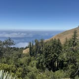 Timber Top and Boronda Trail, California - 750 Reviews, Map | AllTrails