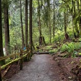 Sasamat Lake Loop Trail - Woodhaven Trail - Woodhaven Swamp Loop Trail ...