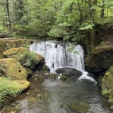Whatcom Creek Trail Loop, Washington - 1,867 Reviews, Map | AllTrails