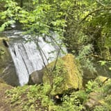 Whatcom Creek Trail Loop, Washington - 1,867 Reviews, Map | AllTrails