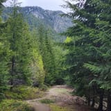 Thorp Lake via Thorp Creek Trail, Washington - 136 Reviews, Map | AllTrails