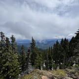 Mount Ellinor Trail, Washington - 2,686 Reviews, Map | AllTrails