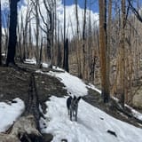 Baker Lake Trail, Idaho - 435 Reviews, Map | AllTrails