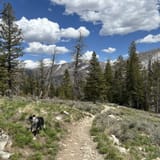 Baker Lake Trail, Idaho - 435 Reviews, Map | AllTrails