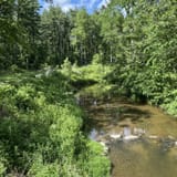 Martell Forest Loop, Indiana - 574 Reviews, Map | AllTrails