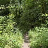 Martell Forest Loop, Indiana - 574 Reviews, Map | AllTrails