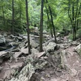 Cedar Falls Trail, Arkansas - 2,093 Reviews, Map | AllTrails