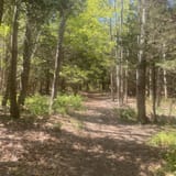 Rome Point Trail, Rhode Island - 1,693 Reviews, Map | AllTrails