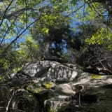 Burnt Rock Mountain Trail, Vermont - 565 Reviews, Map | AllTrails