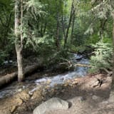 Adams Canyon Trail, Utah - 7,250 Reviews, Map | AllTrails