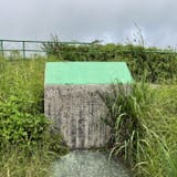 Cerro de Punta, Central Region, Puerto Rico - 129 Reviews, Map | AllTrails