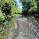 Cerro de Punta, Central Region, Puerto Rico - 129 Reviews, Map | AllTrails