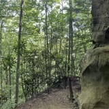 Hidden Arch Trail, Kentucky - 1,081 Reviews, Map | AllTrails