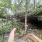 Bunkum Cave Trail, Tennessee - 247 Reviews, Map | AllTrails