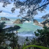 Secret Beach Trail, Oregon - 1,303 Reviews, Map | AllTrails