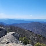 Flat Top Mountain via Flat Top Trail, Virginia - 465 Reviews, Map ...