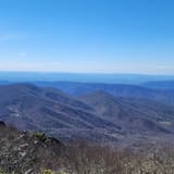 Flat Top Mountain via Flat Top Trail, Virginia - 465 Reviews, Map ...