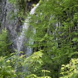 Lewis Spring Falls Trail, Virginia - 1,527 Reviews, Map | AllTrails