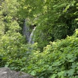 Lewis Spring Falls Trail, Virginia - 1,527 Reviews, Map | AllTrails