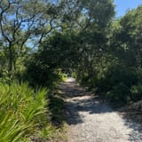 Black Rock Trail, Florida - 149 Reviews, Map | AllTrails